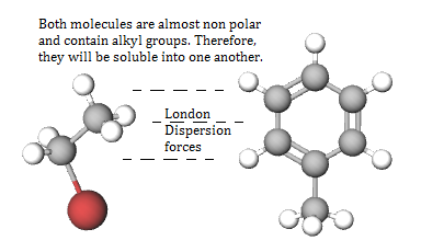 Constructing Visual Relationships Between Structure and Interactions ...