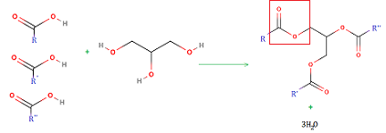 Identifying the Parts of a Triacylglycerol Practice | Chemistry ...