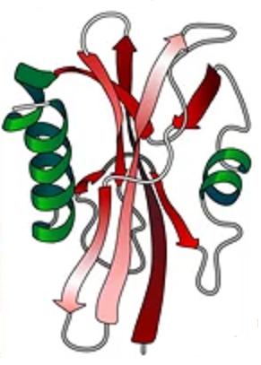 Naming an Element of a Protein Secondary Structure from a Description ...