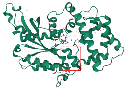 Naming an Element of a Protein Secondary Structure from a Description ...