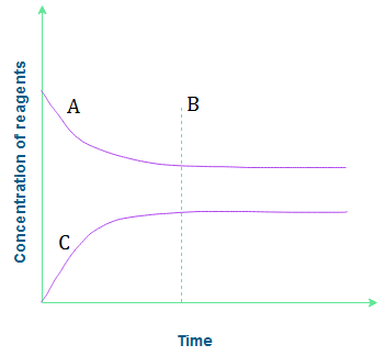 Interpreting Product & Reactant Diagrams with Respect to Time Practice ...