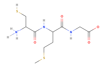 Combining Amino Acids into a Polypeptide Backbone Structure for ...