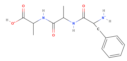 Combining Amino Acids into a Polypeptide Backbone Structure for ...