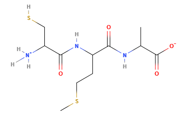Combining Amino Acids into a Polypeptide Backbone Structure for ...