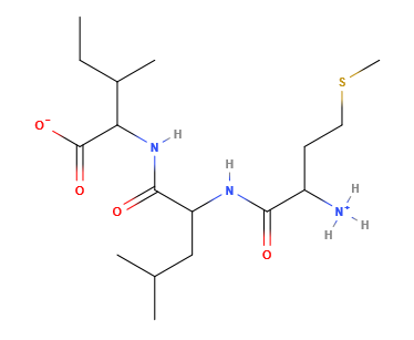 Combining Amino Acids into a Polypeptide Backbone Structure for ...