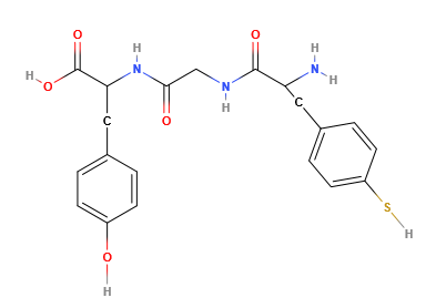 Combining Amino Acids into a Polypeptide Backbone Structure for ...