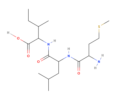 Combining Amino Acids into a Polypeptide Backbone Structure for ...