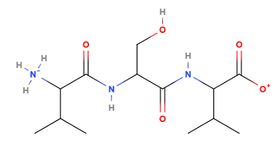 Combining Amino Acids into a Polypeptide Backbone Structure for ...