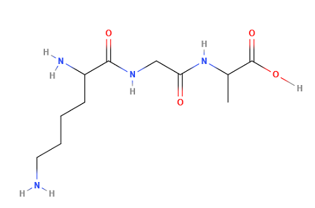 Combining Amino Acids into a Polypeptide Backbone Structure for ...