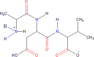 Combining Amino Acids into a Polypeptide Backbone Structure for ...