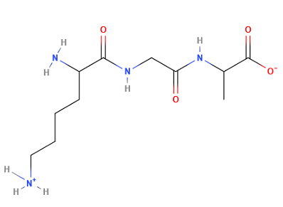 Combining Amino Acids into a Polypeptide Backbone Structure for ...