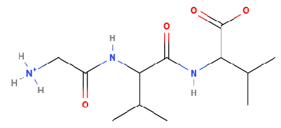 Combining Amino Acids into a Polypeptide Backbone Structure for ...