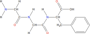 Combining Amino Acids into a Polypeptide Backbone Structure for ...