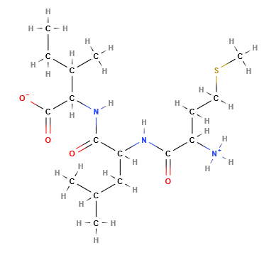 Combining Amino Acids into a Polypeptide Backbone Structure for ...