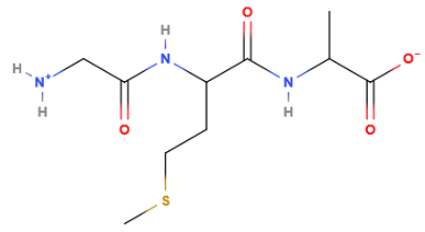 Combining Amino Acids into a Polypeptide Backbone Structure for ...
