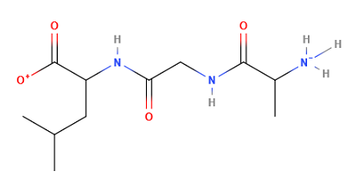 Combining Amino Acids into a Polypeptide Backbone Structure for ...