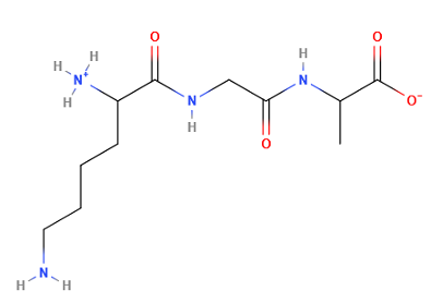 Combining Amino Acids into a Polypeptide Backbone Structure for ...
