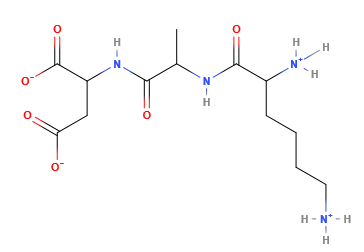 Combining Amino Acids into a Polypeptide Backbone Structure for ...