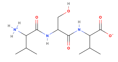 Combining Amino Acids into a Polypeptide Backbone Structure for ...