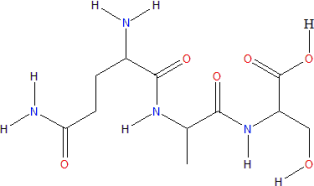 Combining Amino Acids into a Polypeptide Backbone Structure for ...
