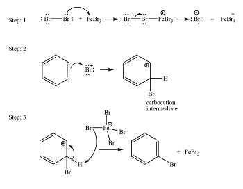 Write a detailed mechanism for the preparation of bromobenzene from ...