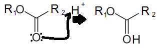 Hydrolysis of Aspirin | Overview, Reactions & Mechanism - Lesson ...