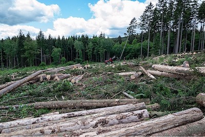 Natural Habitat | Definition, Types & Destruction - Lesson | Study.com