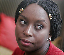 Chimamanda Ngozi Adichie's Short Stories | Themes & Analysis - Lesson ...