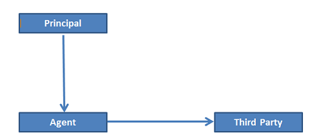 Undisclosed principal definition - stashokfreaks