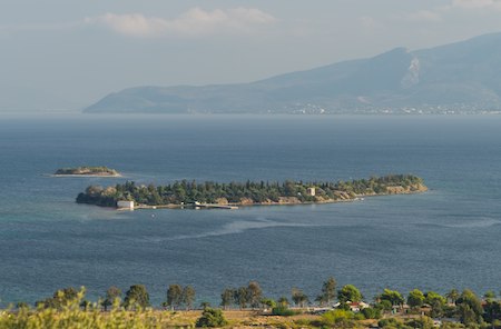 Theory of Island Biogeography | Definition & Equilibrium - Lesson ...