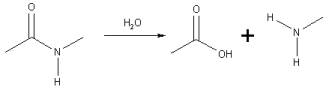 Categorizing Hydrolysis and Dehydrations Synthesis between ...