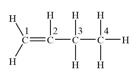 Butene is a hydrocarbon containing carbons and a bond. | Study.com