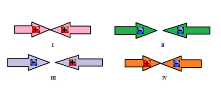 Comparing the Processes of Charging by Conduction and Induction ...