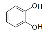 Quiz & Worksheet - Overview of Dioxin | Study.com