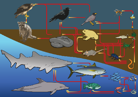 Analyzing Symbioses, Predation, and Competition & How They Drive ...