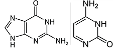 Aromatic Hydrocarbons | Definition, List & Examples - Lesson | Study.com