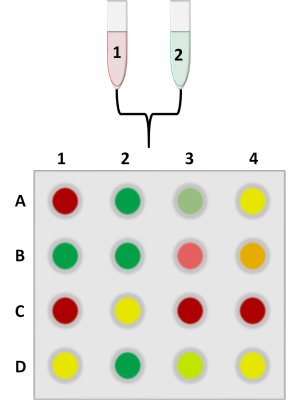 MB (ASCP) Technologist in Molecular Biology: Study Guide & Exam Prep ...