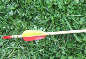Archery as Sport | Definition, Skills & History - Lesson | Study.com