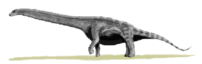 Saurischian Dinosaurs | Definition, Characteristics & Examples | Study.com