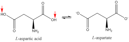 Solved: a) Draw the chemical structures of aspartic acid and its ...
