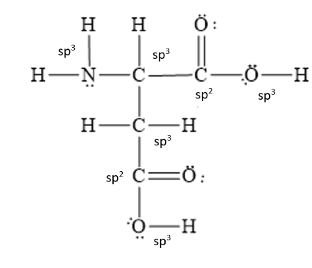 Consider the structure of the amino acid as shown below Indicate the ...