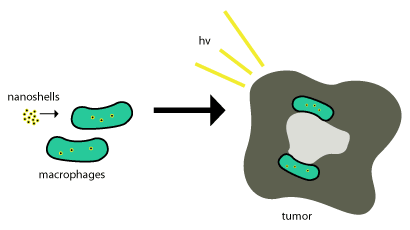 Nanobots | Definition, Uses & Impact - Lesson | Study.com