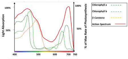 AP Biology Practice Test