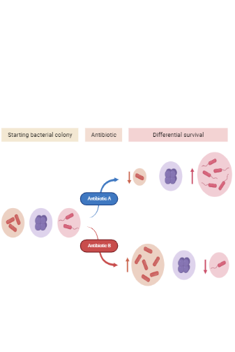 Analyzing How Human Activities Impact Ecosystems & Cause Extinctions ...