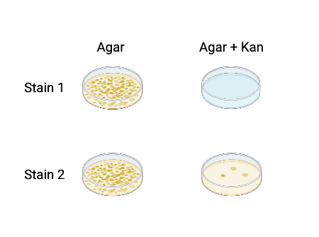 Analyzing How Resistance to Antibiotics, Herbicides & Other Drugs ...