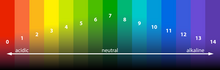 Strong & Weak Acids & Bases | Definition & Examples - Lesson | Study.com