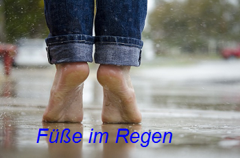 Body Parts in German | Vocabulary & Example Sentences | Study.com