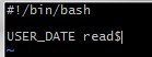 Quiz & Worksheet - Elements of Bash Scripts | Study.com