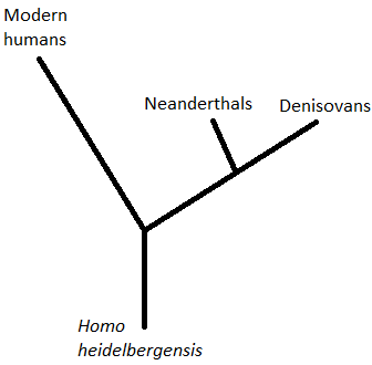 Denisovan Characteristics, DNA & Ancestry | Study.com