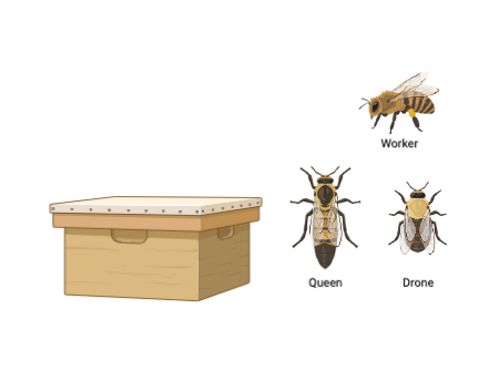 Evaluating Cooperation & Coordination among Populations Practice ...